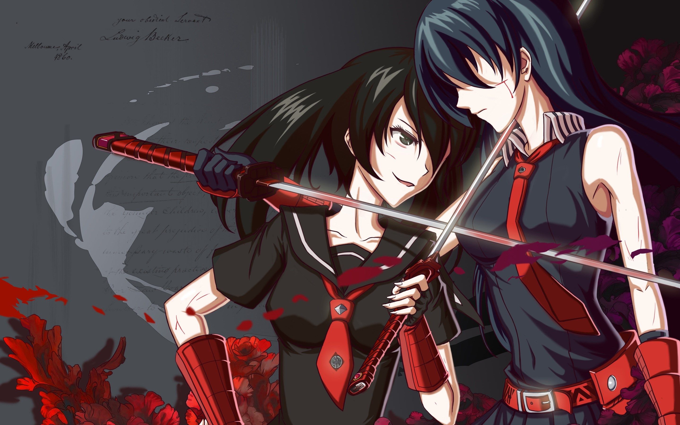🔥 Free Download Akame Ga Kill Wallpaper Hd Background Image By Tyson by ...