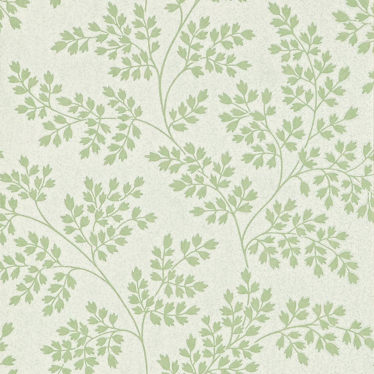 Free Download Leaf Wallpaper Design Leaf Greenivory 1305x1305 For Free Download Leaf Wallpaper Design Leaf Greenivory 1305x1305 For