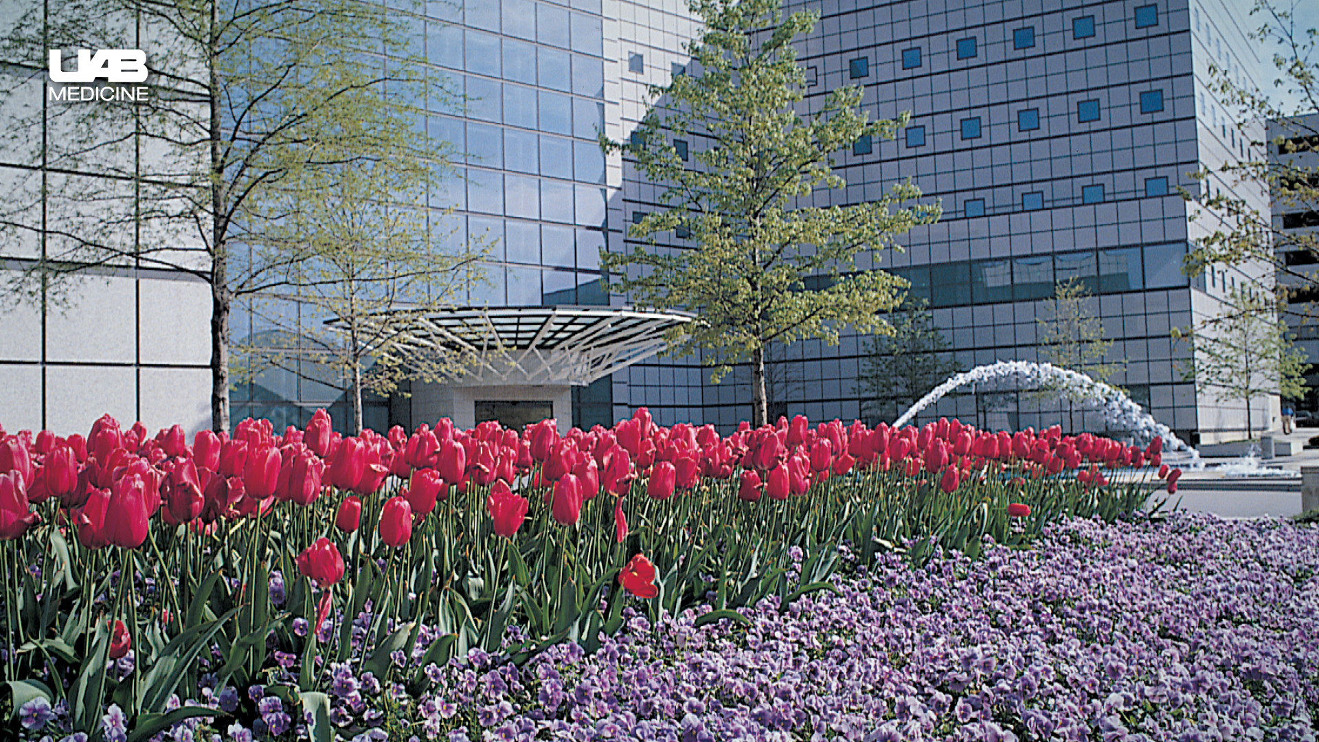 🔥 Free download Virtual Backgrounds UAB Medicine [1920x1080] for your ...