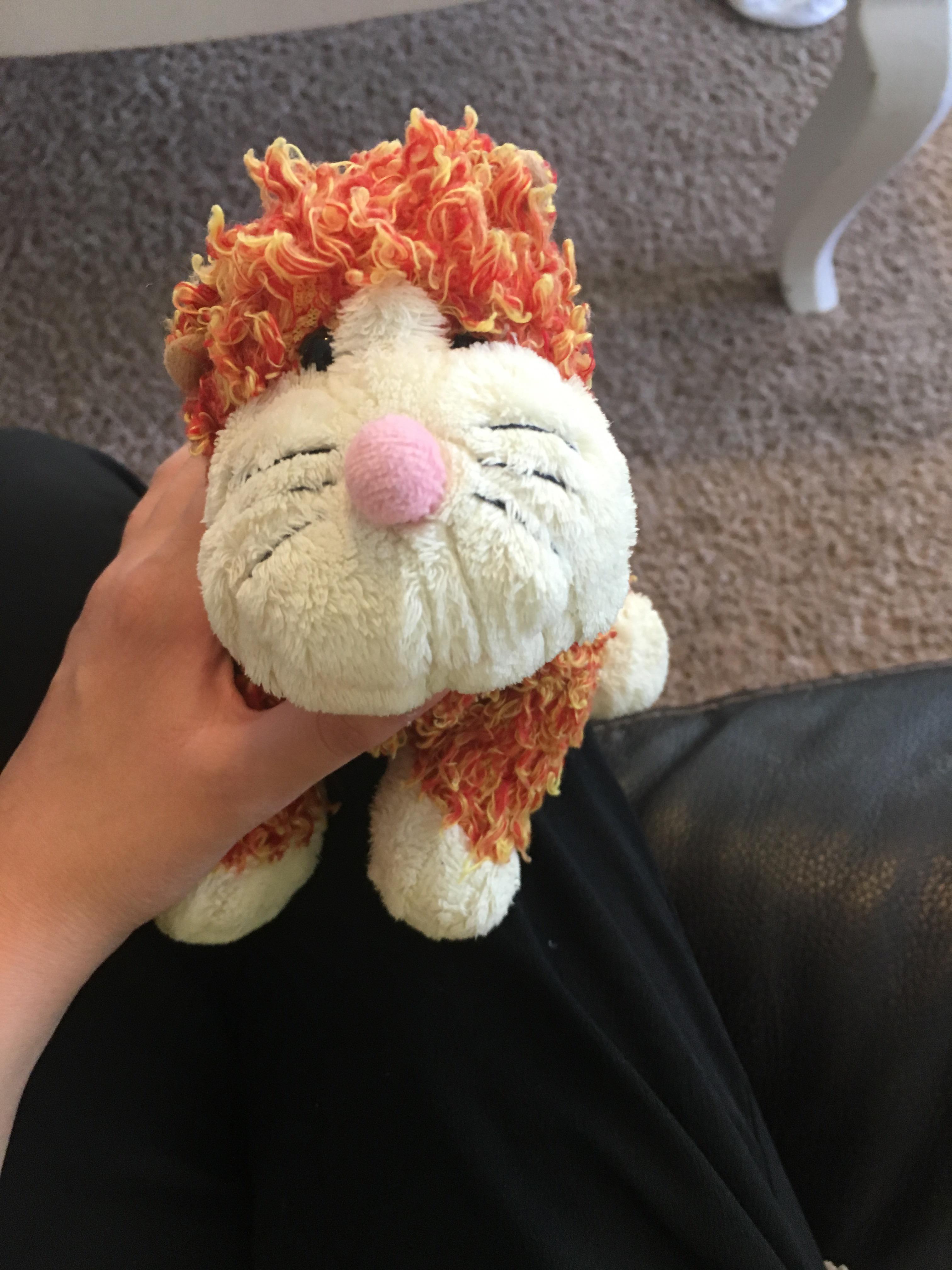 🔥 Free Download Finally I Have A Cheeky Cat Webkinz by @davidhall ...