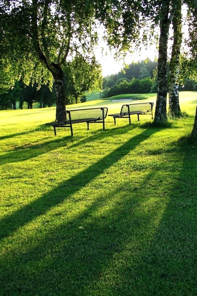 🔥 [30+] Worldstar Wallpapers | WallpaperSafari