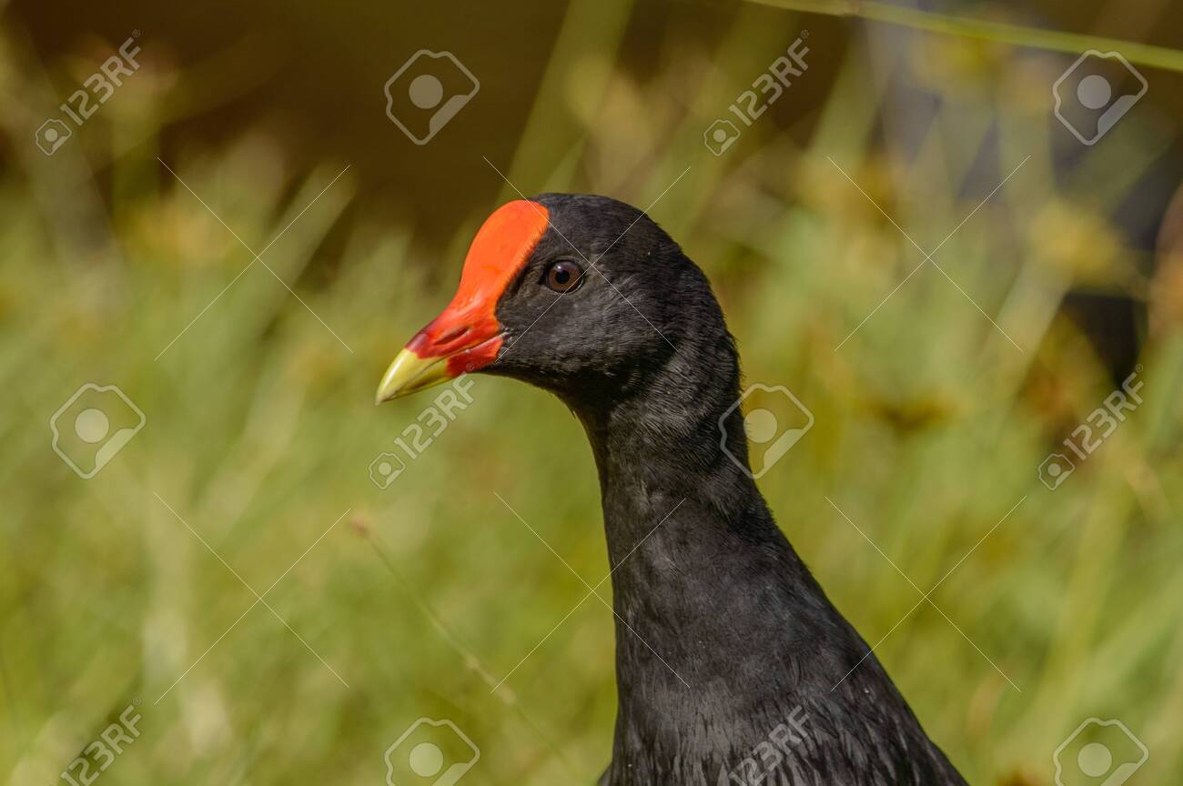 🔥 Free download Abstract Black Dusky Background Dark Vignette Stock ...