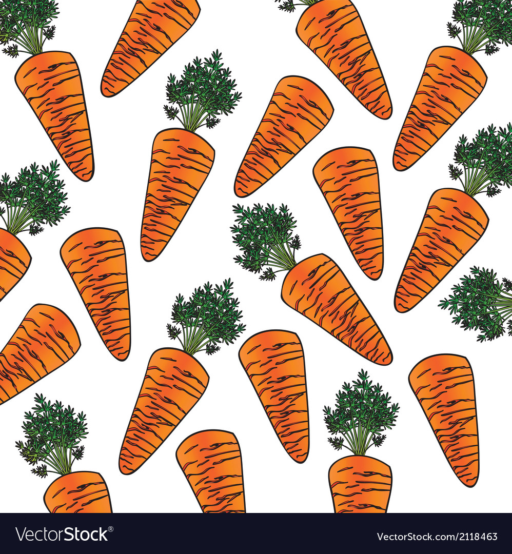 Free download Sliced Carrots Carrots Background Carrot Sliced Into ...