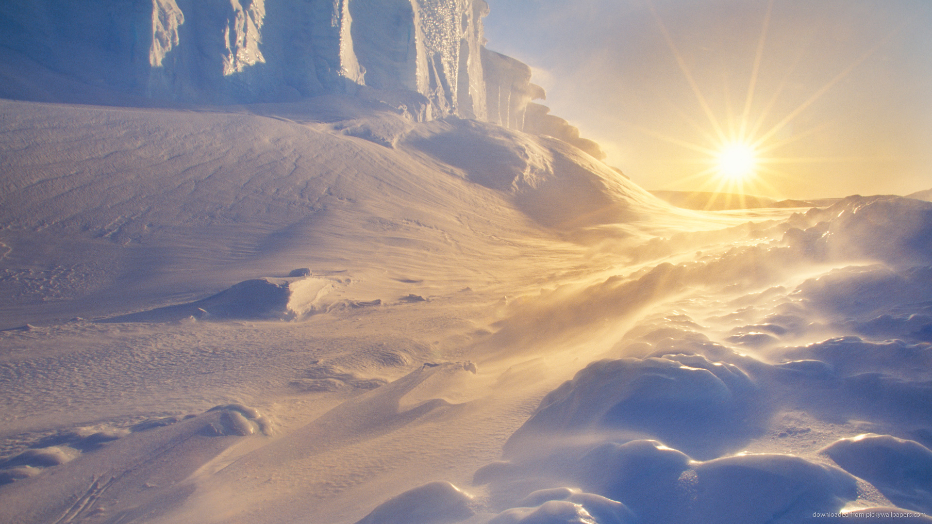 🔥 [50+] Artic Wallpapers | WallpaperSafari