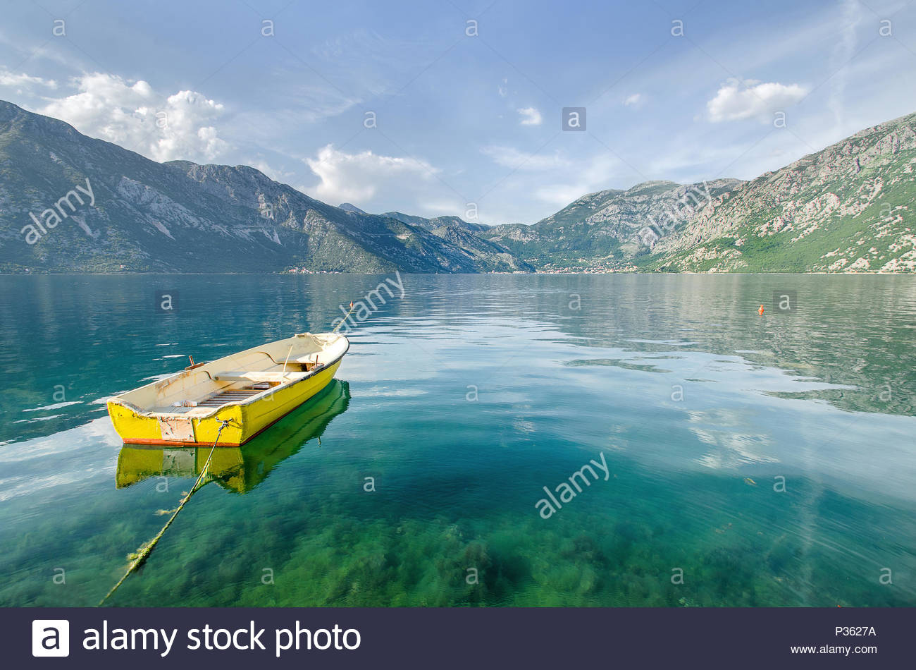 [31+] Boka Background on WallpaperSafari