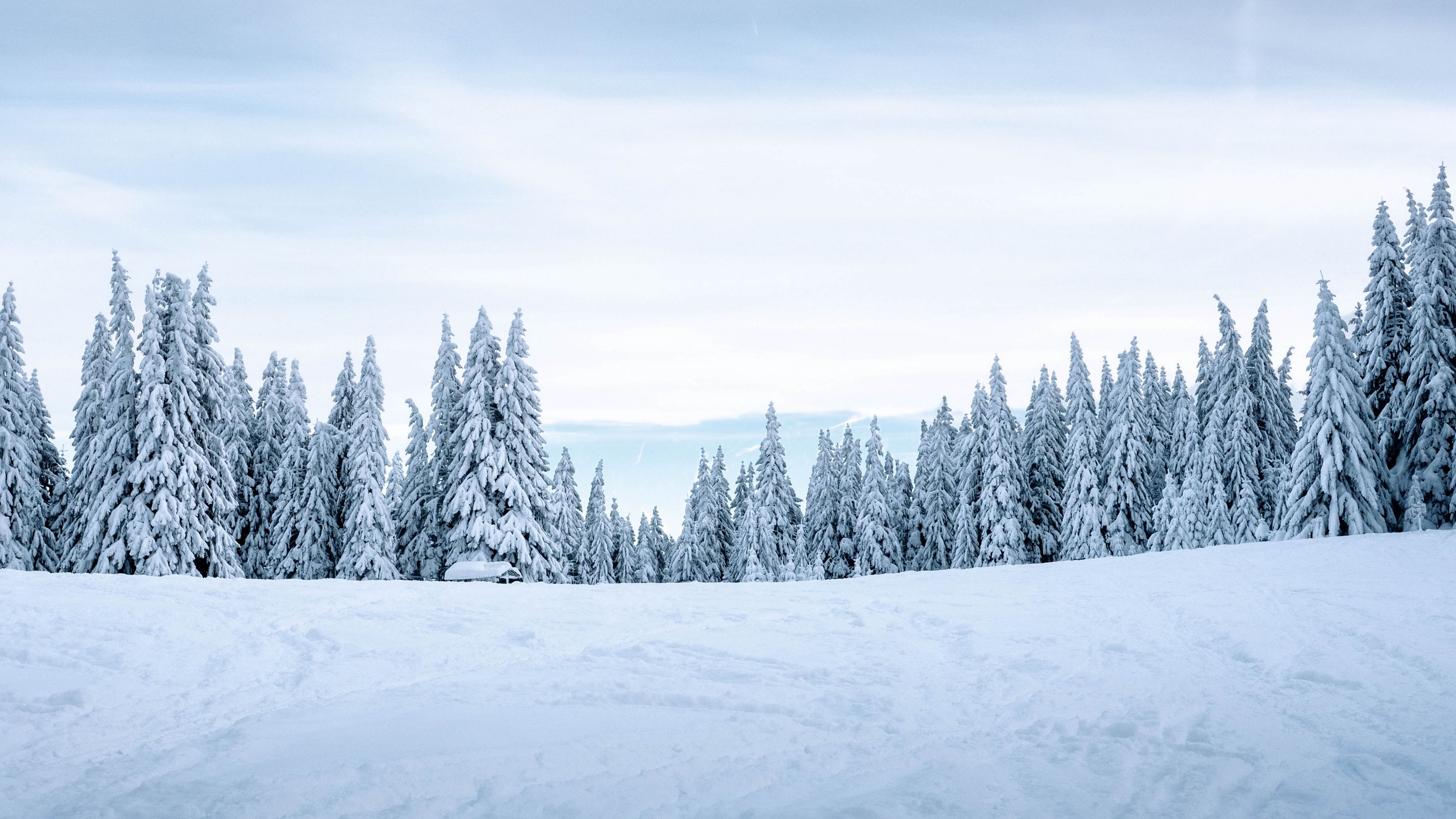 🔥 [40+] Snow 4k Wallpapers | WallpaperSafari