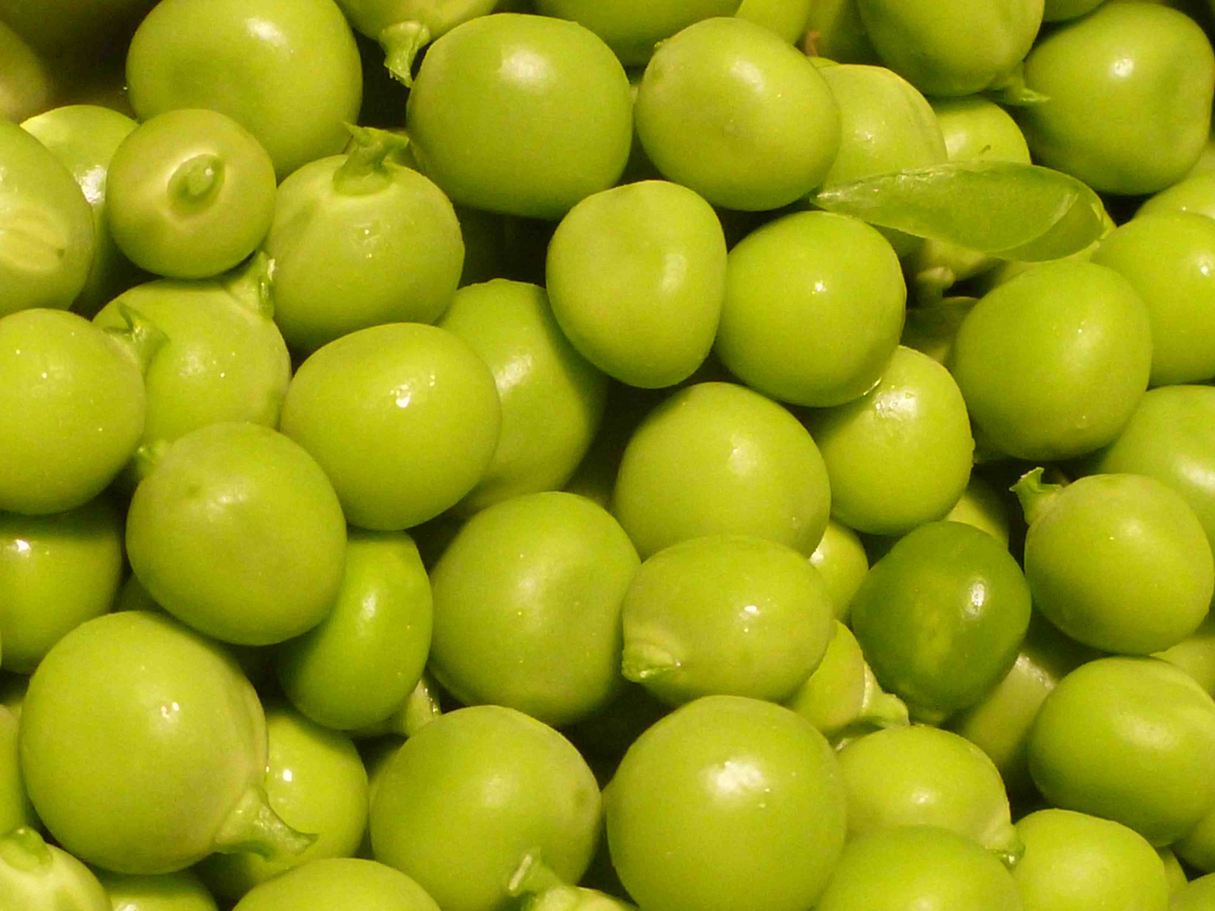 🔥 Free Download Peas Wallpaper Image Photos Pictures Background by ...
