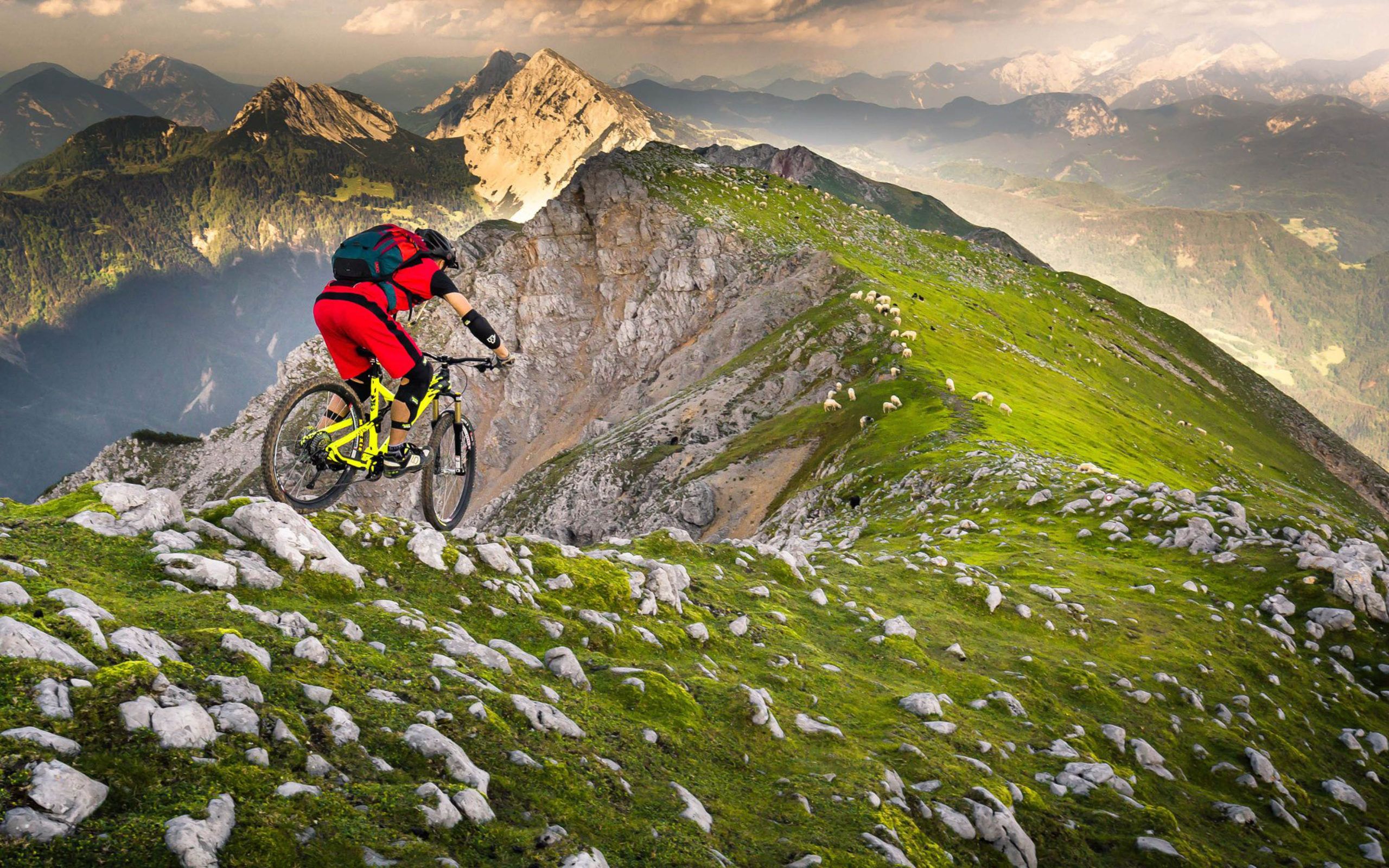 🔥 [70+] Mountain Bike Wallpapers | WallpaperSafari