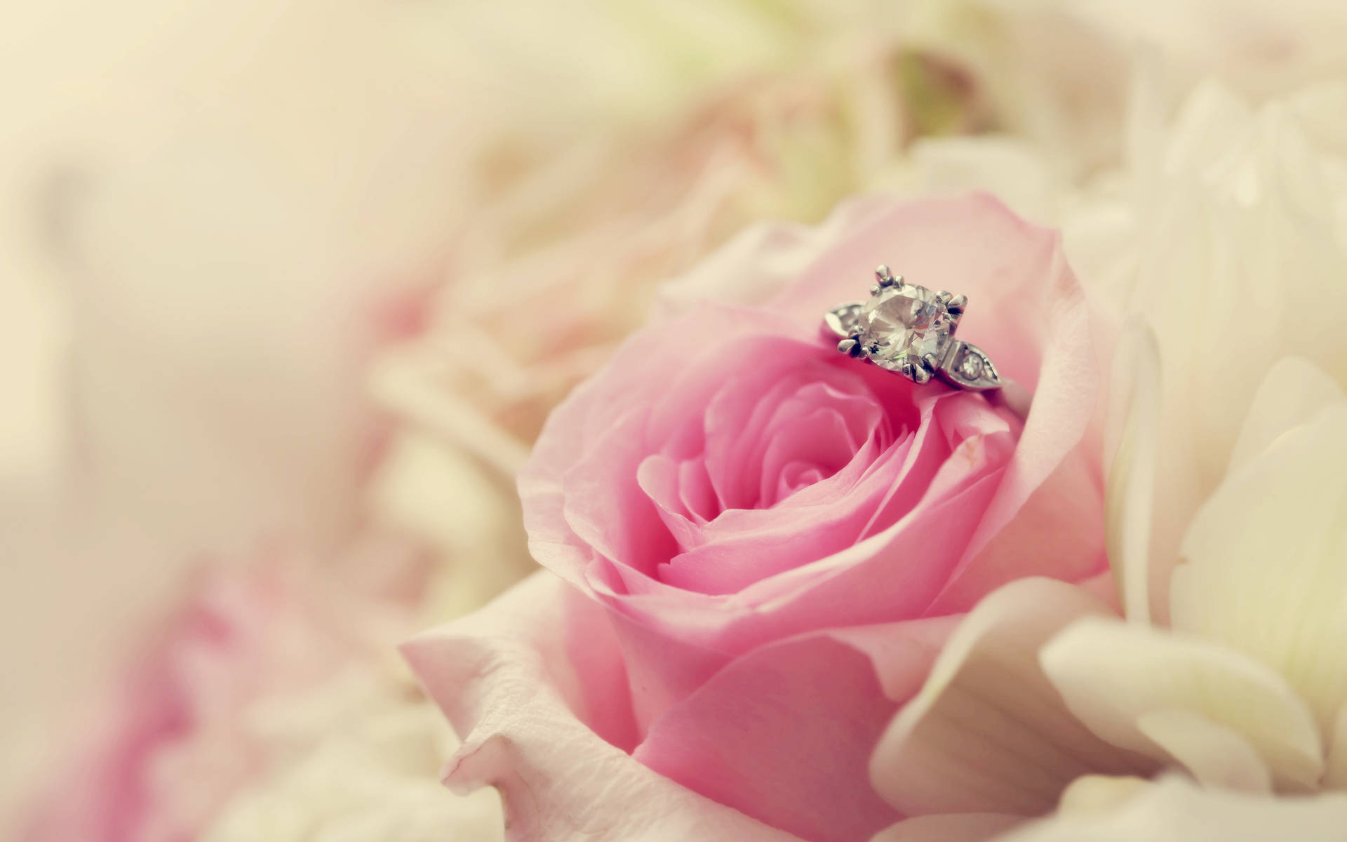 🔥 Free Download Wedding Aesthetic Ring In Rose Wallpaper by ...