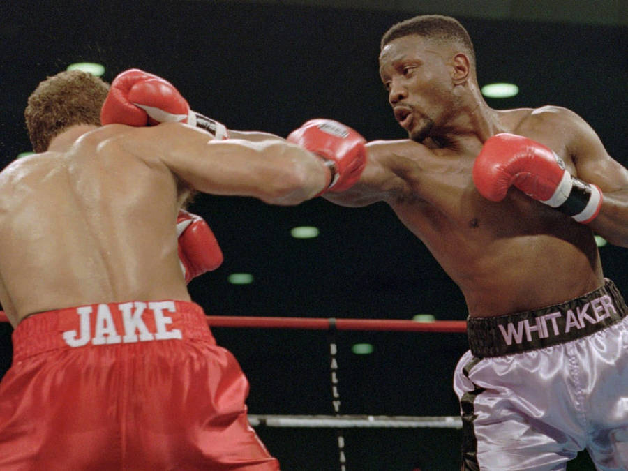 🔥 Free Download Pernell Whitaker Undefended Straight Wallpaper by @ahill42 | WallpaperSafari