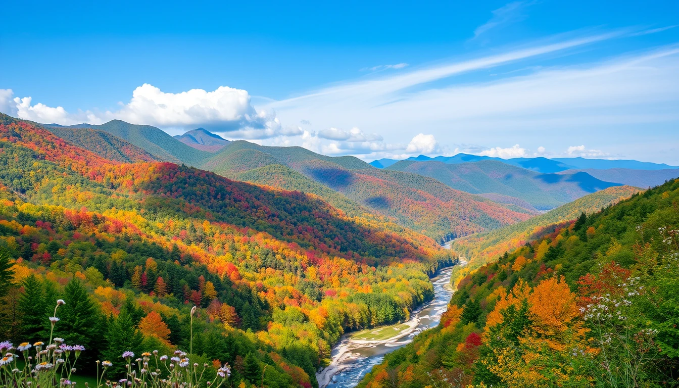 🔥 Free Download Appalachian State Wallpaper by @lindaw76 | WallpaperSafari