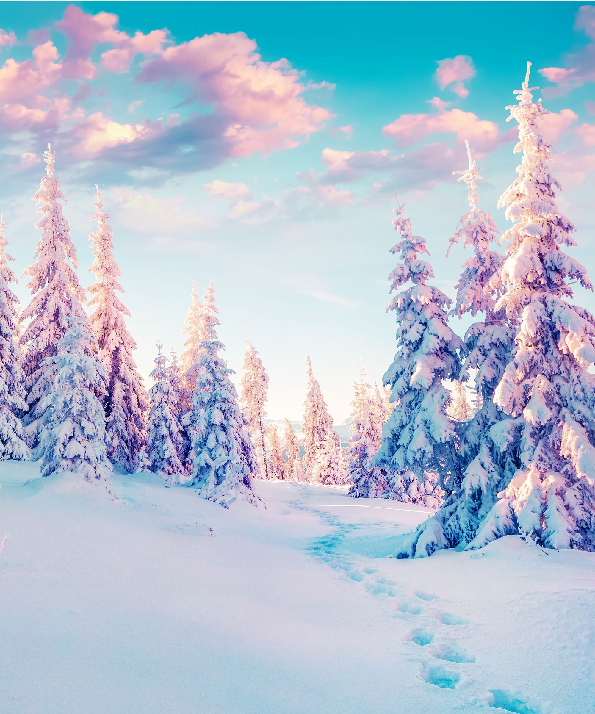 🔥 Free Download Winter Solstice Wallpaper by @georgemosley | WallpaperSafari