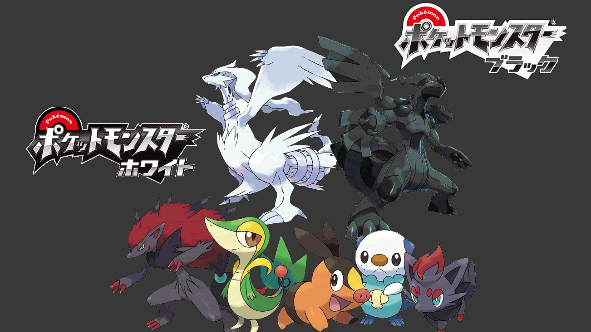 🔥 Free Download Pokemon Black Wallpaper by @tprice | WallpaperSafari