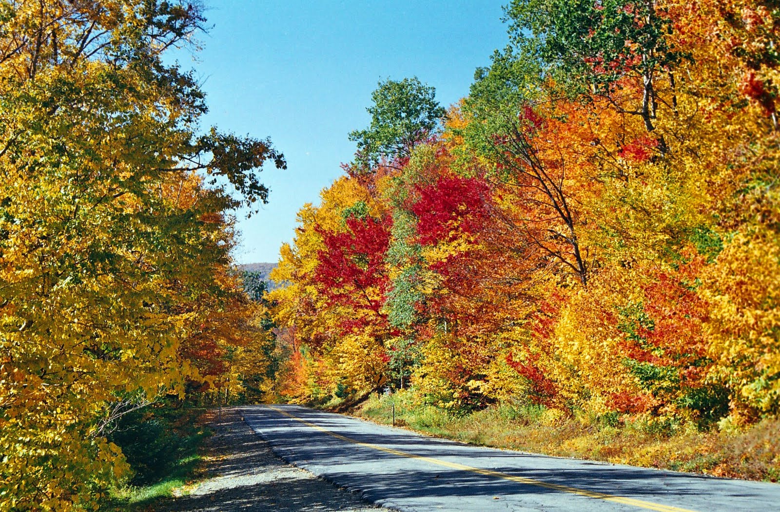 🔥 Download Fall Desktop Wallpaper Background by @colleenp | HD Fall ...