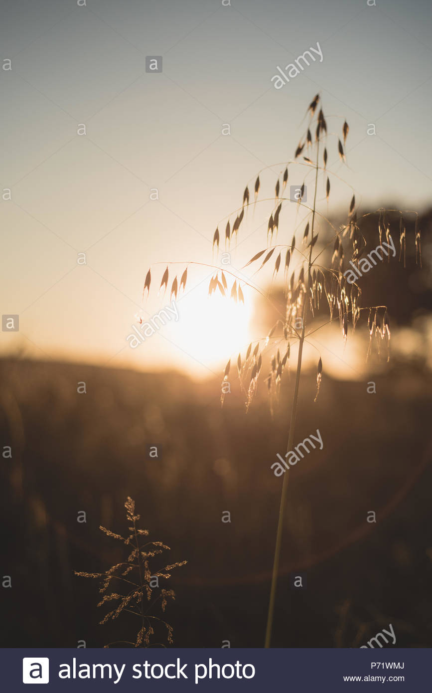 [42+] Sunlit Backgrounds | WallpaperSafari