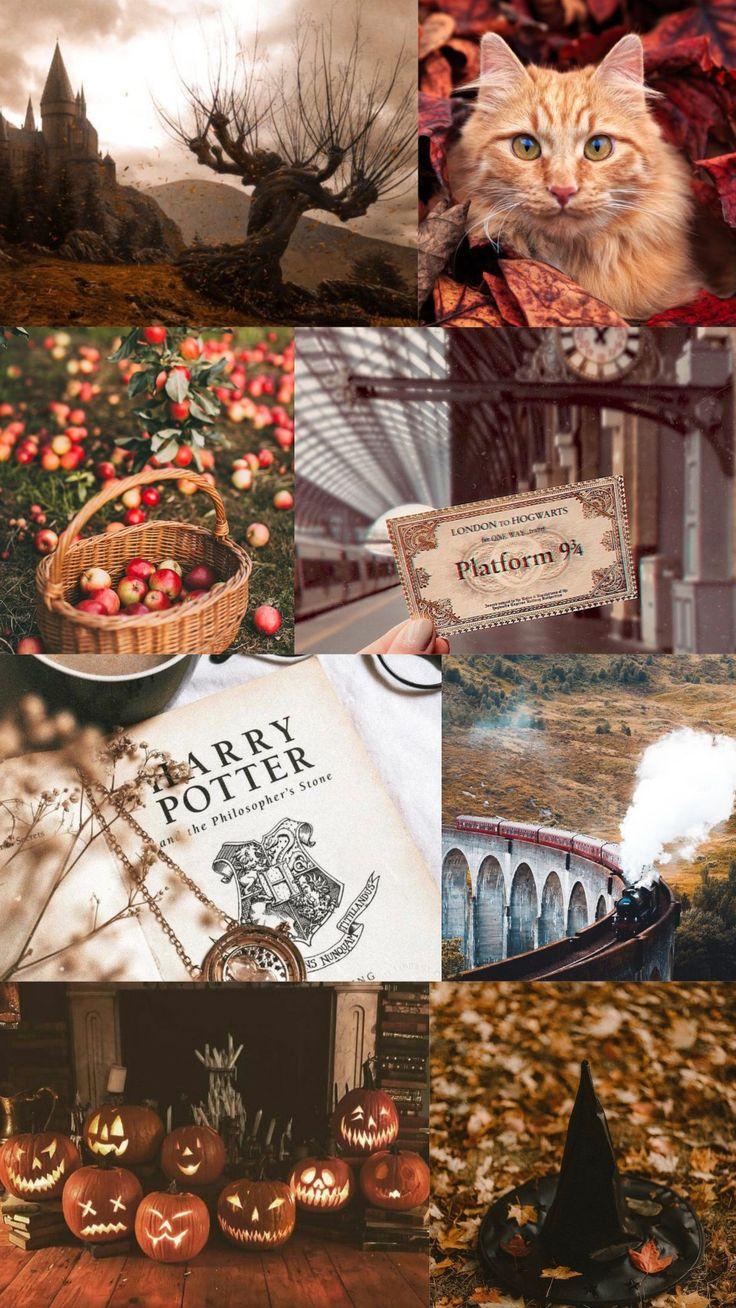 🔥 Free Download Hogwarts Wallpaper Fall Harry Potter Cute by @cjacobs87 ...