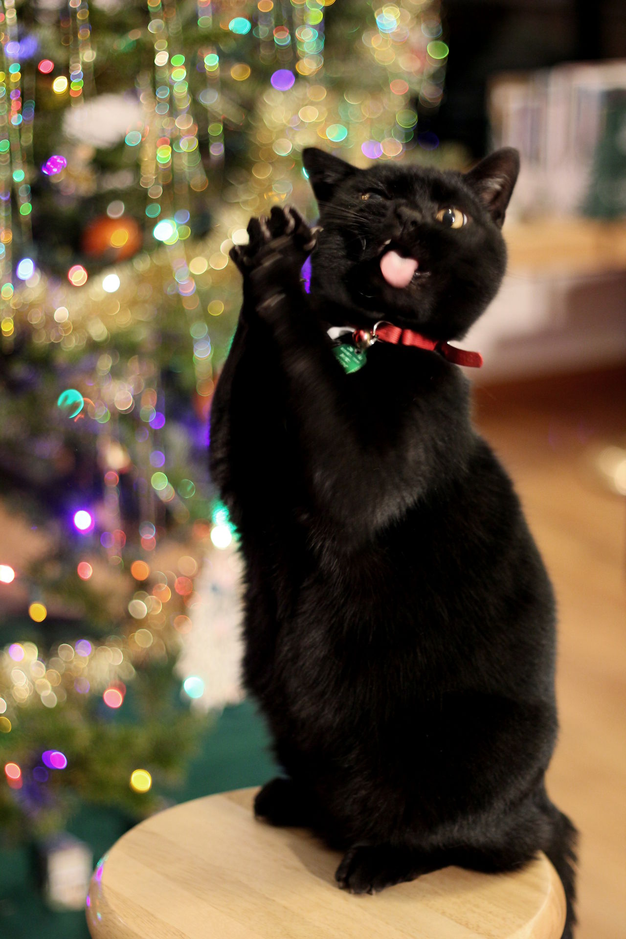 🔥 Free Download Funny Get Off My Phone Wallpaper by @jillo ...