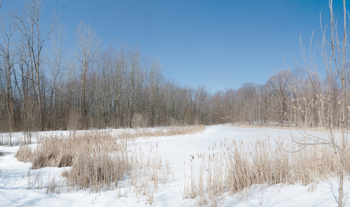 🔥 Free Download Winter Pond Scape Stock By Rustedscrapmetal by ...