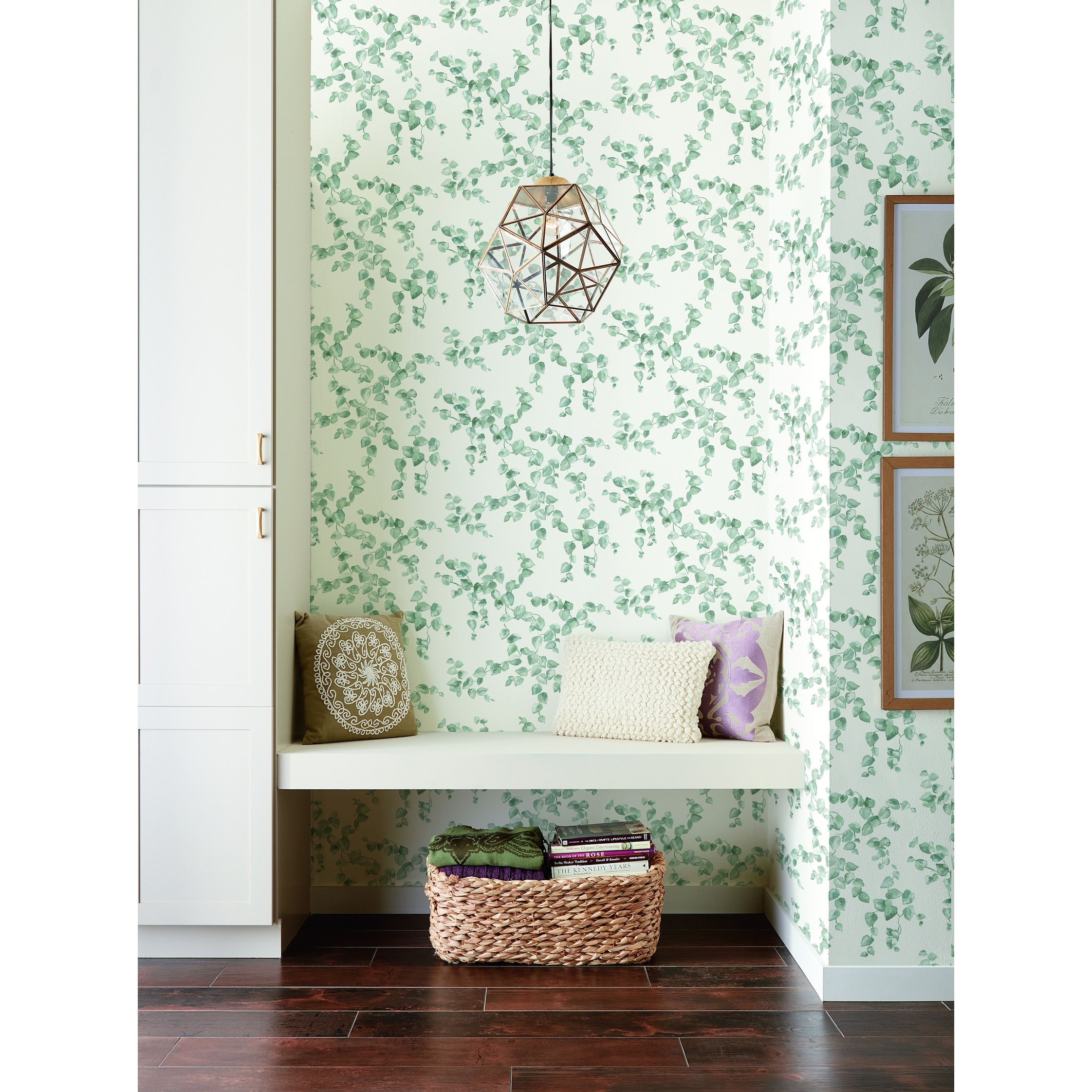 🔥 Free Download Shop Maricopa Creeping Fig Vine Sage Wallpaper ...