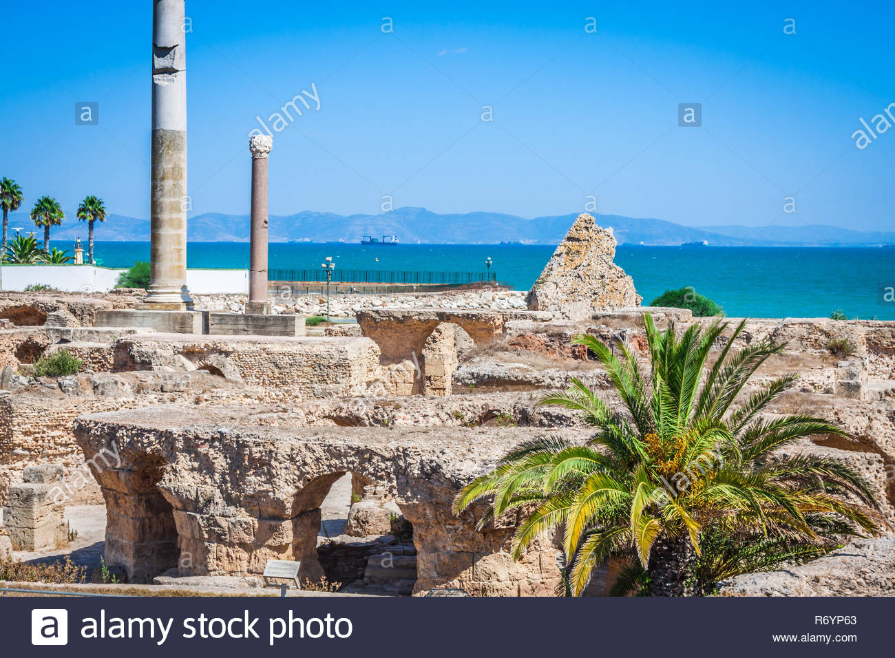 [39+] Carthage Background | WallpaperSafari