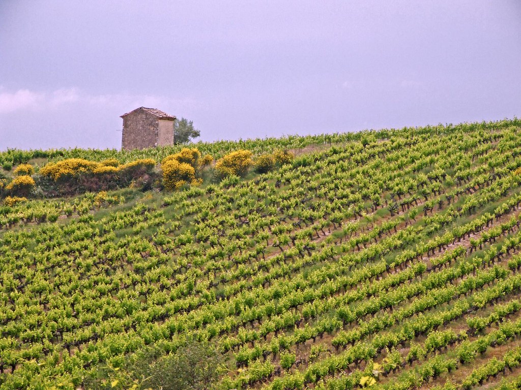 Free download The Worlds Best Photos of provansa Flickr Hive Mind ...