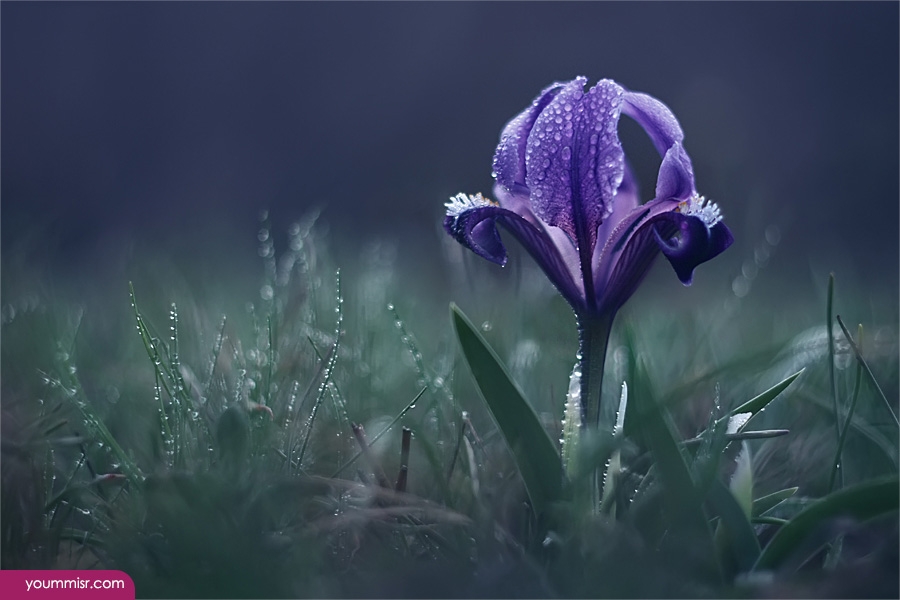  50 Change My Wallpaper Free On WallpaperSafari