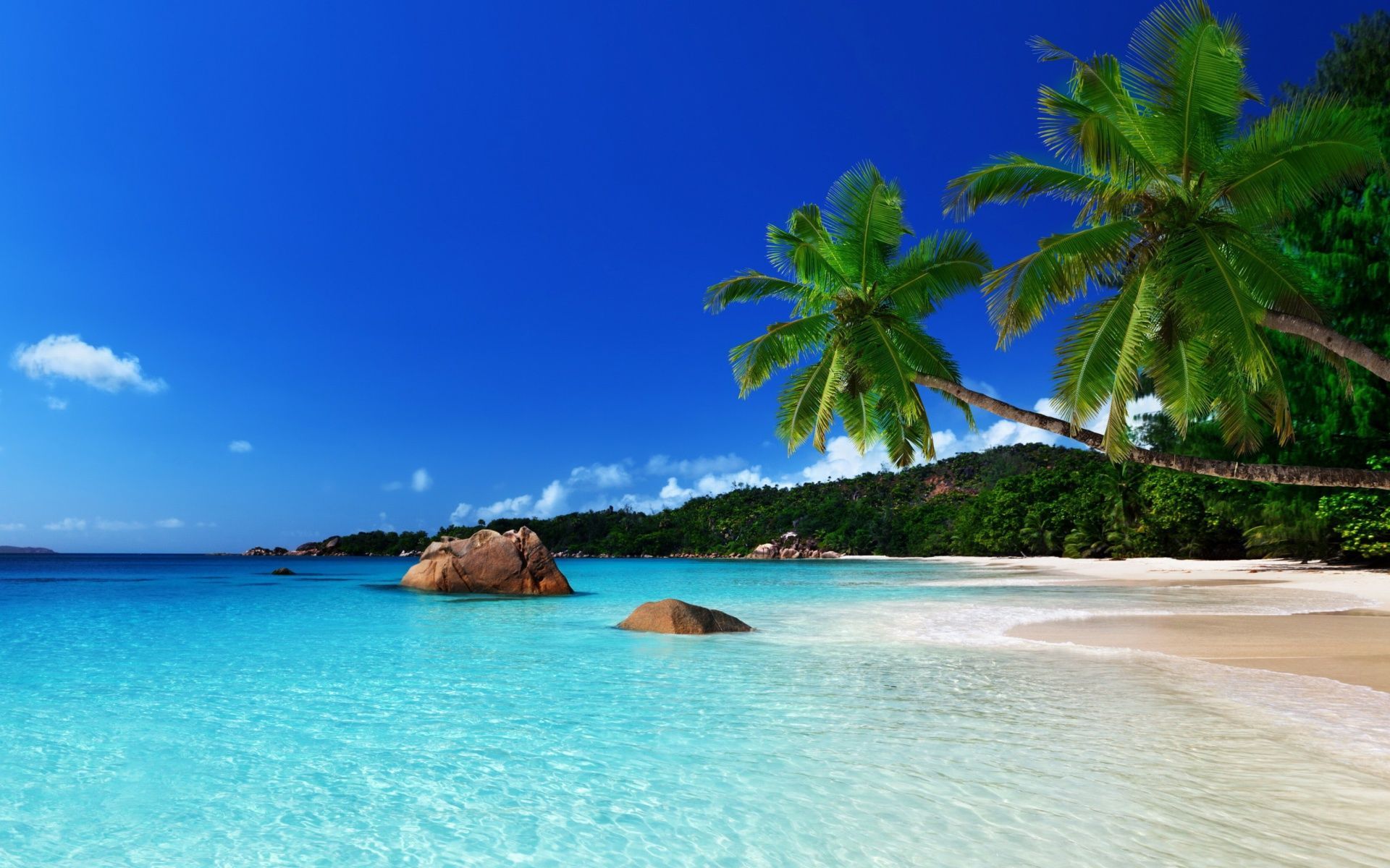  Free Download Jamaica Wallpapers Top Free Jamaica Backgrounds