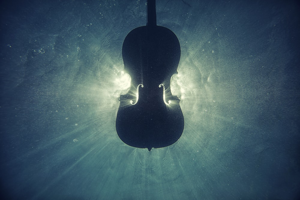 🔥 [40+] Fiddle Wallpapers | WallpaperSafari