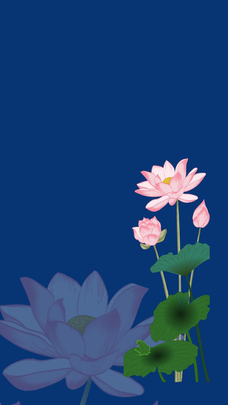 🔥 Free Download Lotus Wallpaper For Home Lock Screen by @mpugh37 ...