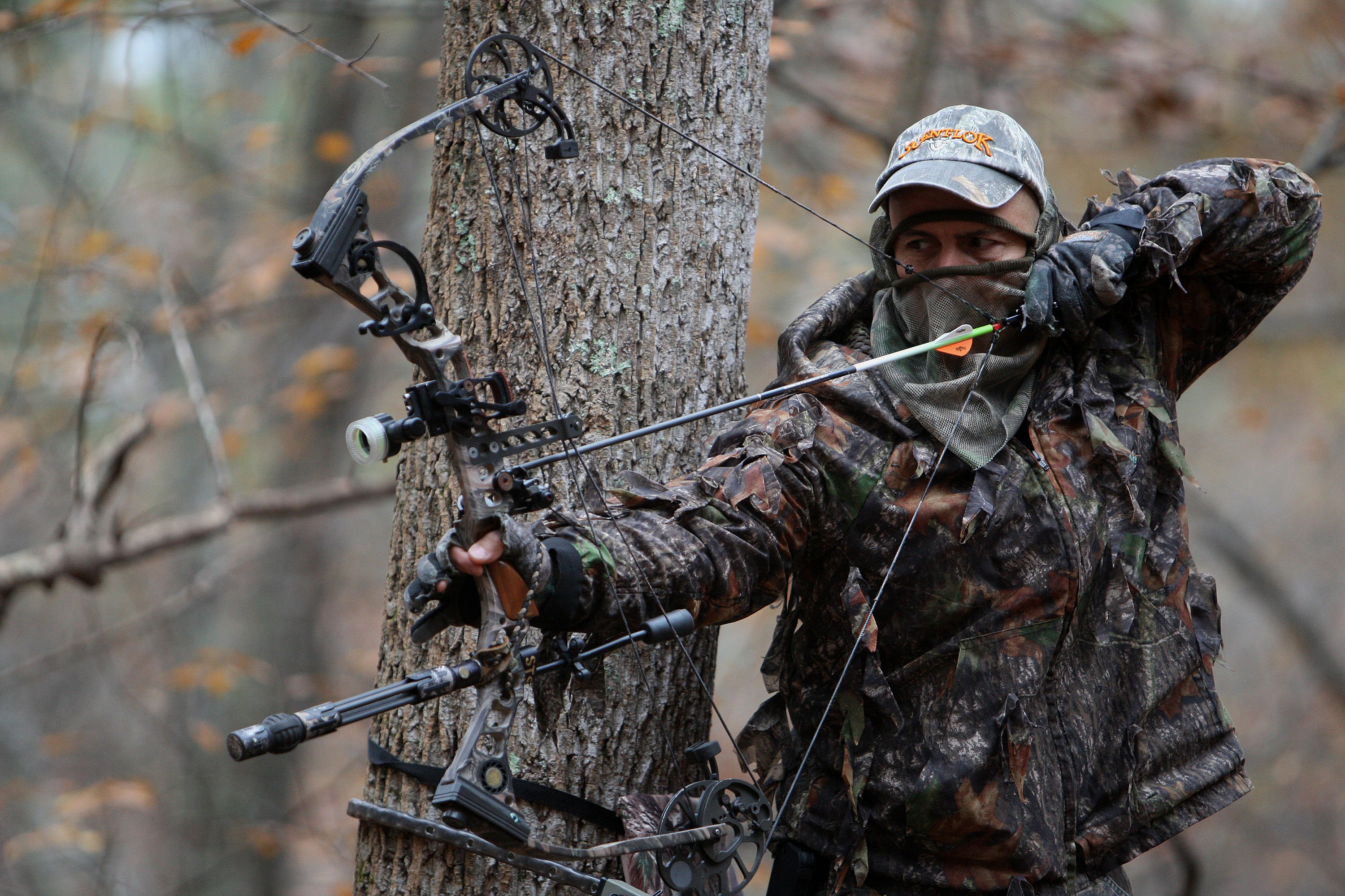  140 Bow Hunting Backgrounds Wallpapers WallpaperSafari