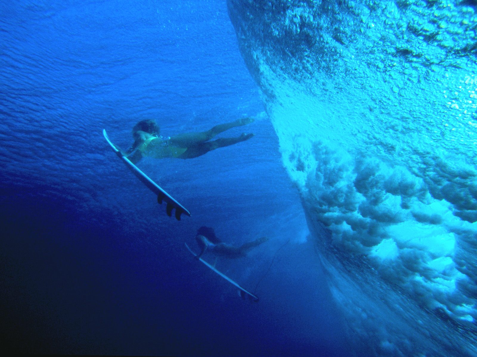Free Download Surfer Girls Wallpapers Surfer Girls Stock Photos Free Download Surfer Girls Wallpapers Surfer Girls Stock Photos