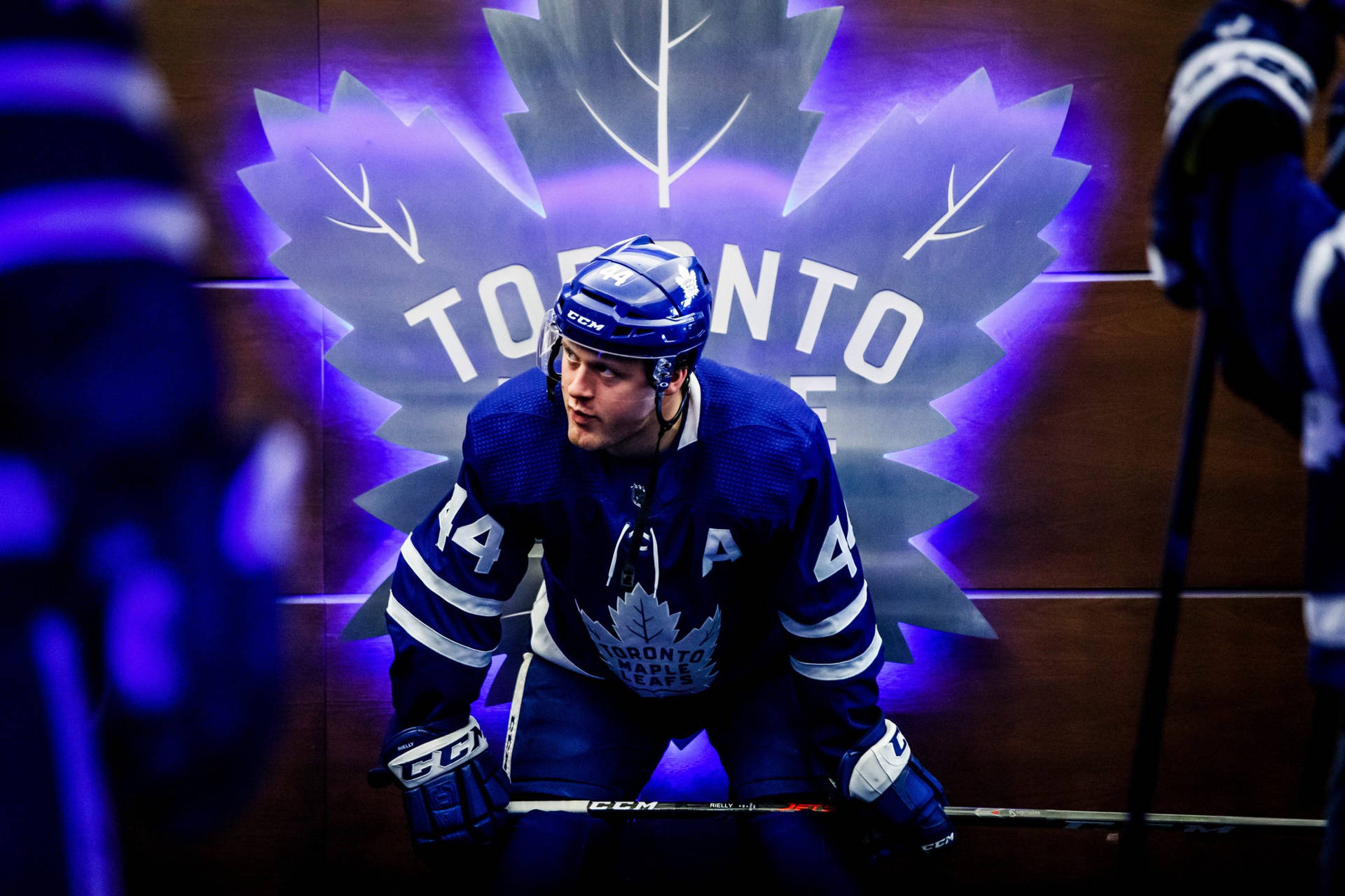 🔥 [40+] Toronto Maple Leafs Wallpapers | WallpaperSafari