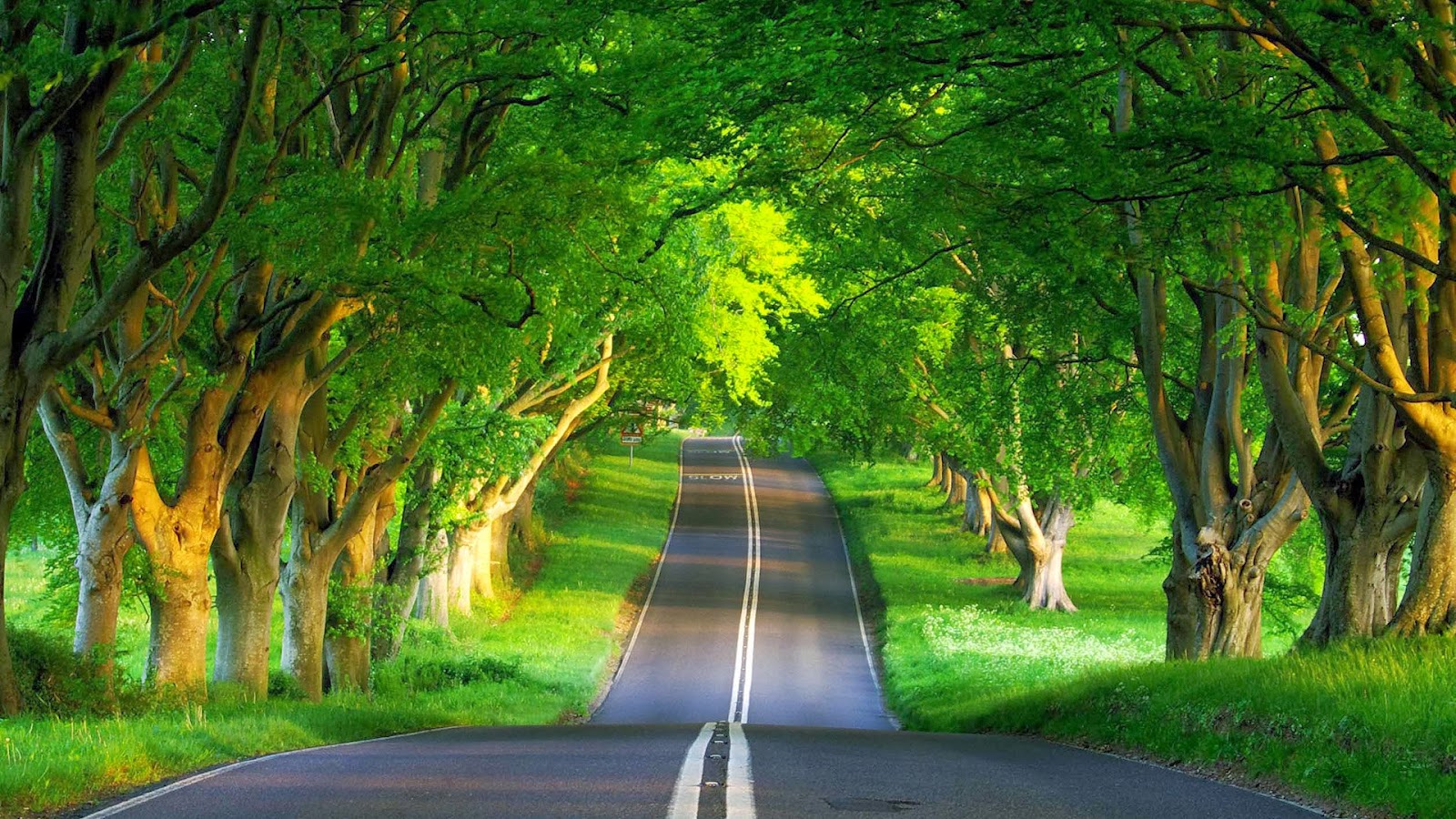 Free Download Beautiful Nature Wallpapers For Desktop HD Wallpapers Sms Bing 1600x900 For Your 