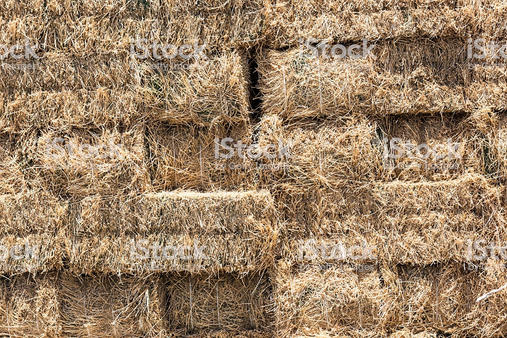 [35+] Haystack Background | WallpaperSafari