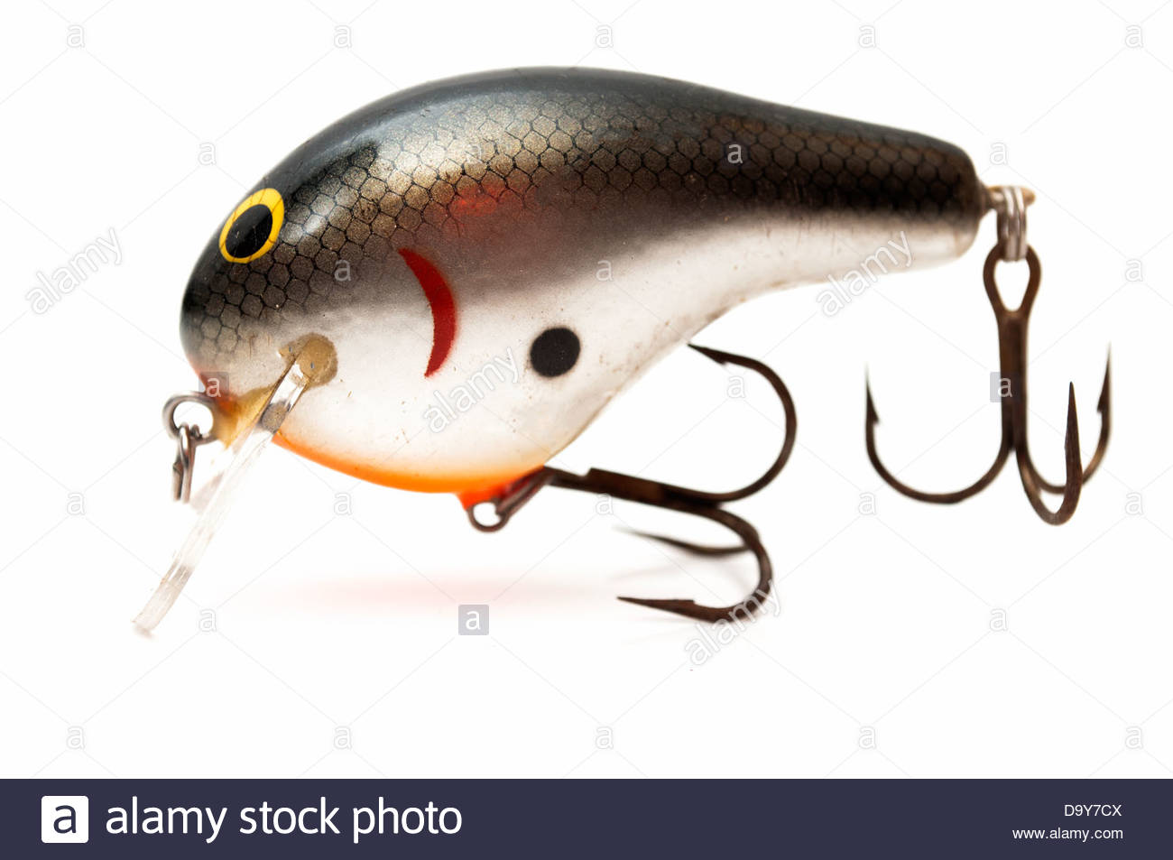 Rapala Wallpaper