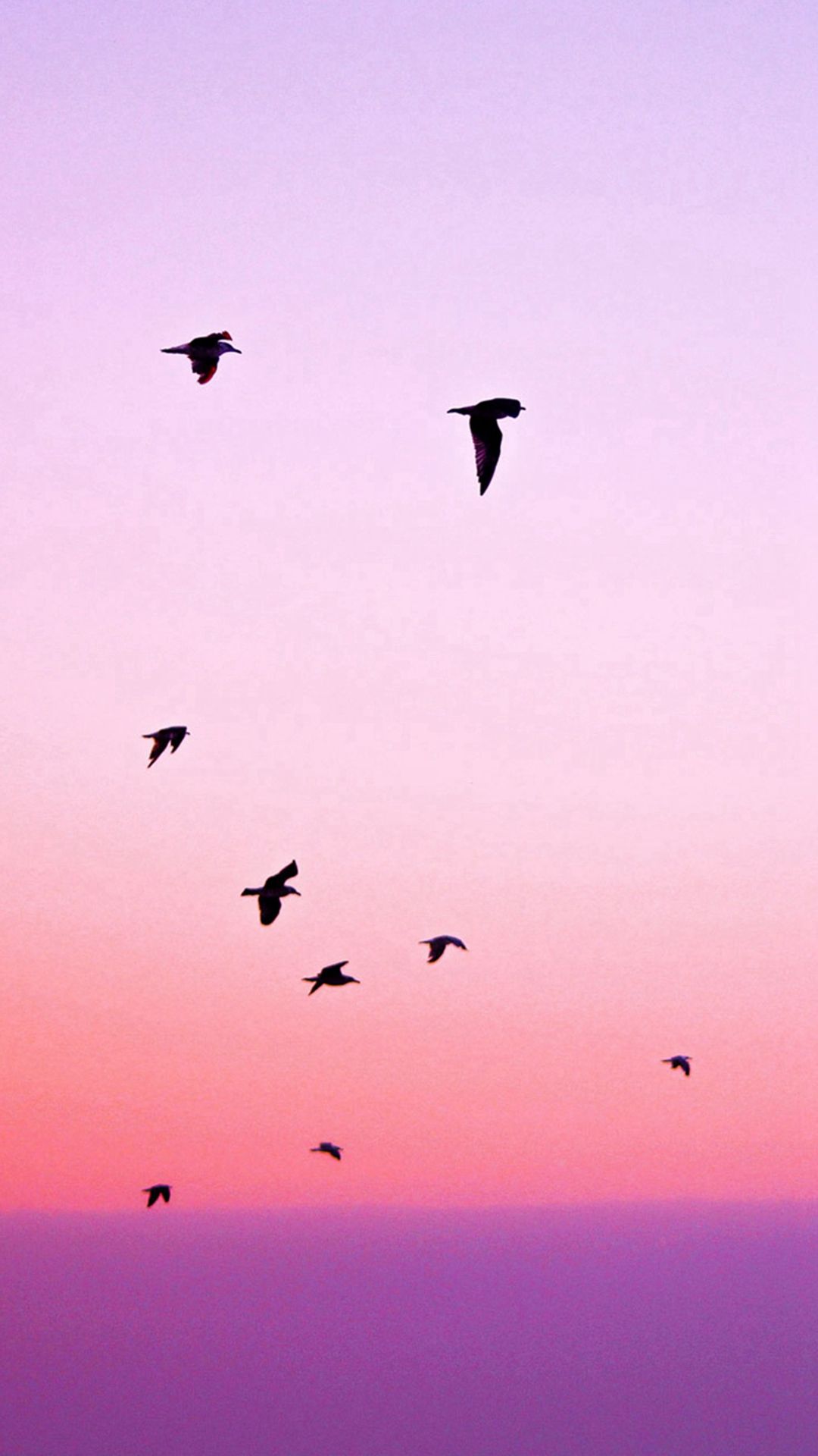 🔥 Free Download Birds Flying In Purple Sunset Iphone Wallpaper by ...