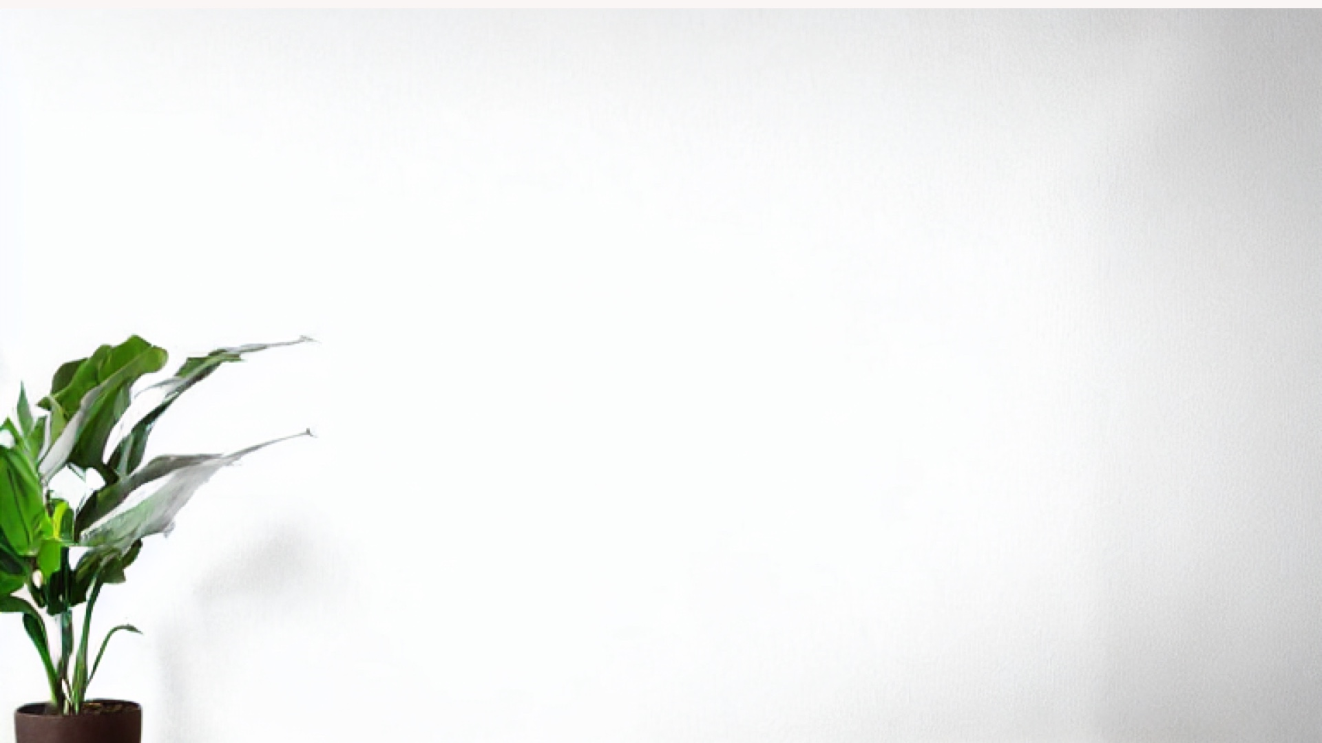 🔥 Free Download Simple Zoom Background Wallpaper by @smiles ...