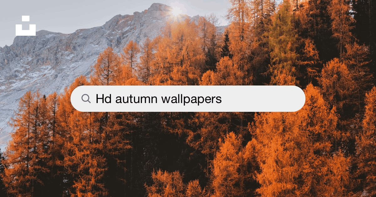 Free download 900 Fall HD Wallpapers and Backgrounds [3854x2160] for ...