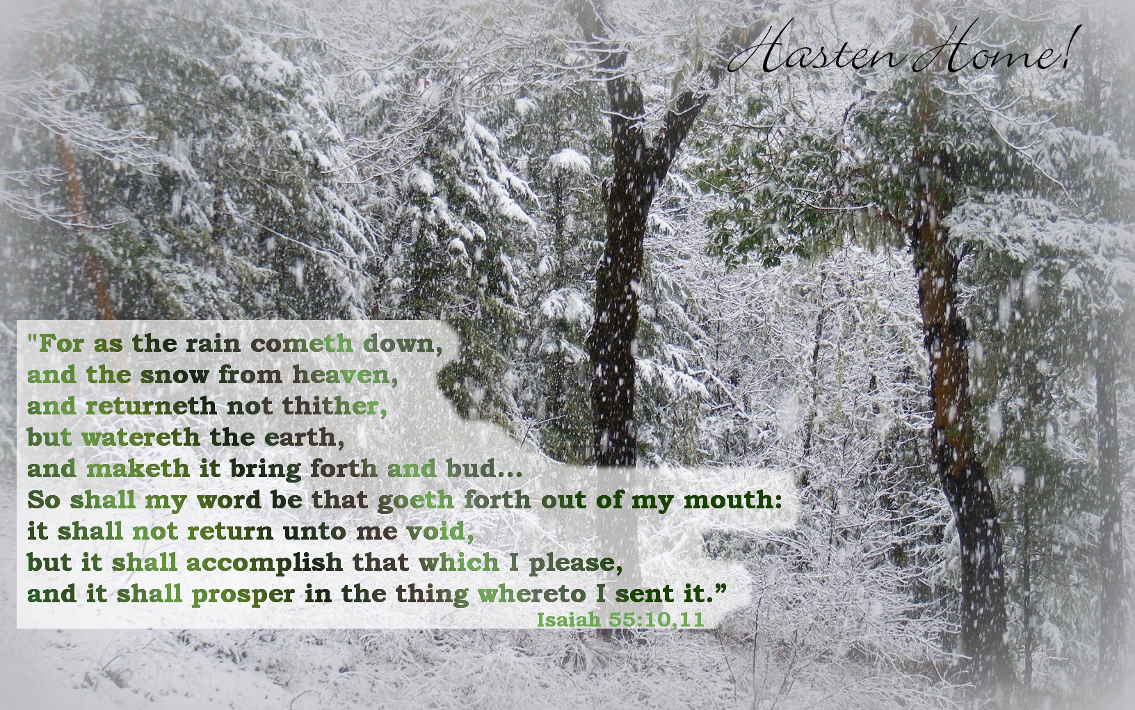 Free download Butterfly HD 1024 X 768 Size Wallpapers [1440x900] for ...