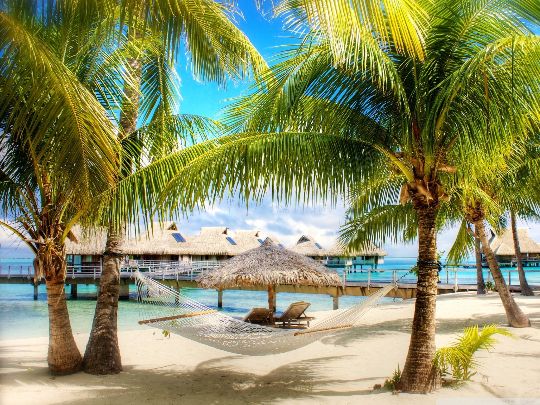 🔥 [30+] Beach Computer Backgrounds | WallpaperSafari