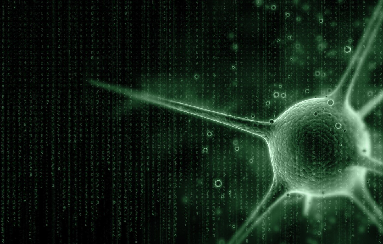 🔥 [40+] Wallpapers Virus | WallpaperSafari