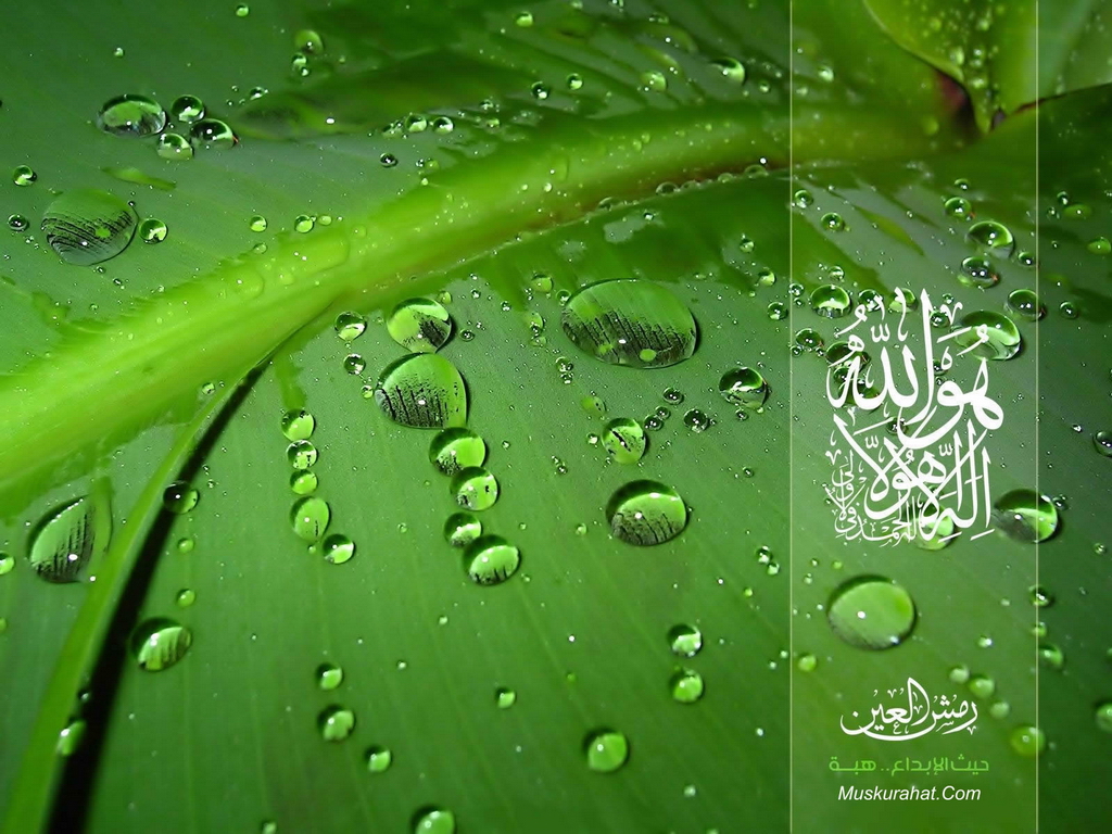 Free Download Islamic Wallpapers Page 1 1024x768 For Your Desktop Free Download Islamic Wallpapers Page 1 1024x768 For Your Desktop