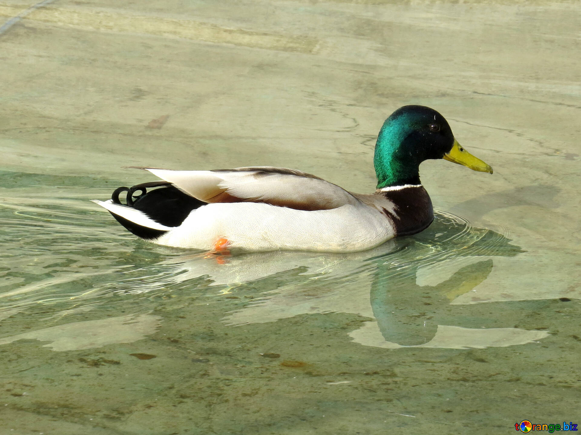 🔥 [40+] Buckwild Wallpapers | WallpaperSafari