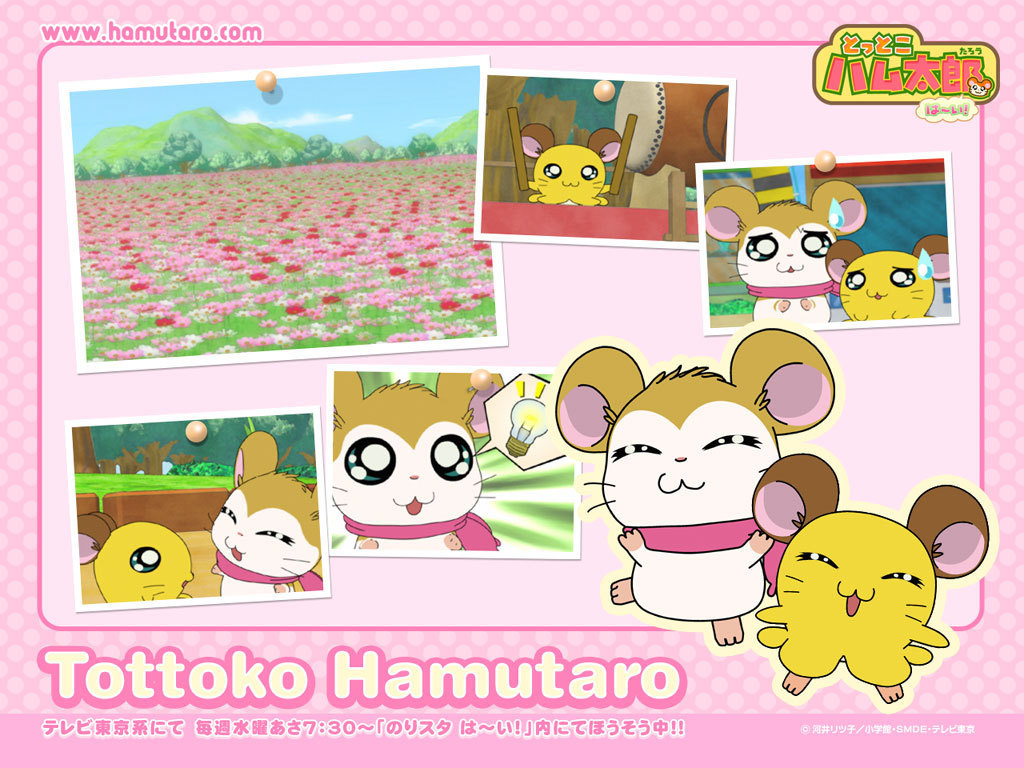 Free download Hamtaro wallpapers [1024x768] for your Desktop, Mobile ...