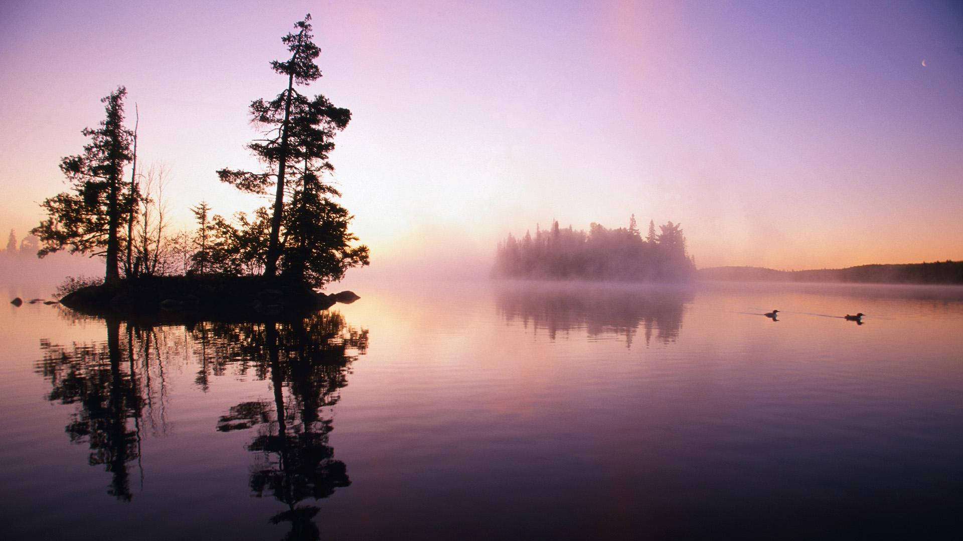 🔥 [50+] Forest Lake Wallpapers | WallpaperSafari