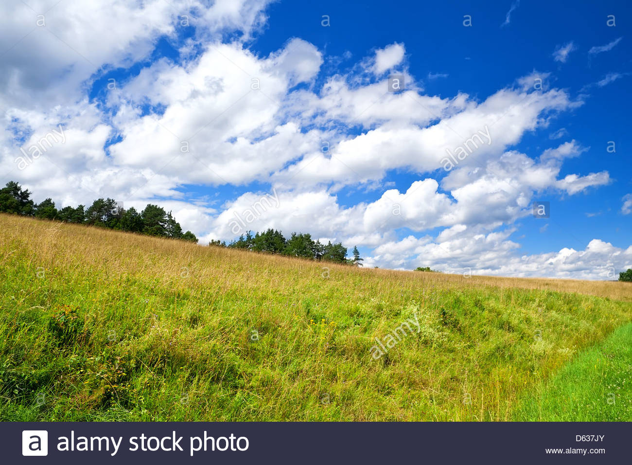 [44+] Afternoon Background | WallpaperSafari