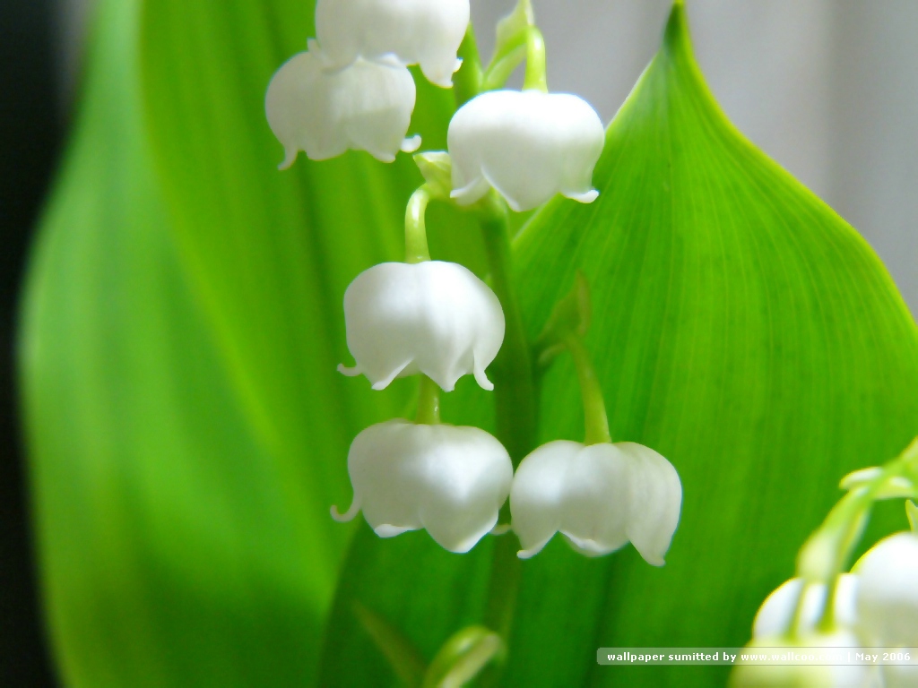 🔥 Free download Free download pitcherBike pitchersislamic duaen3 D ...