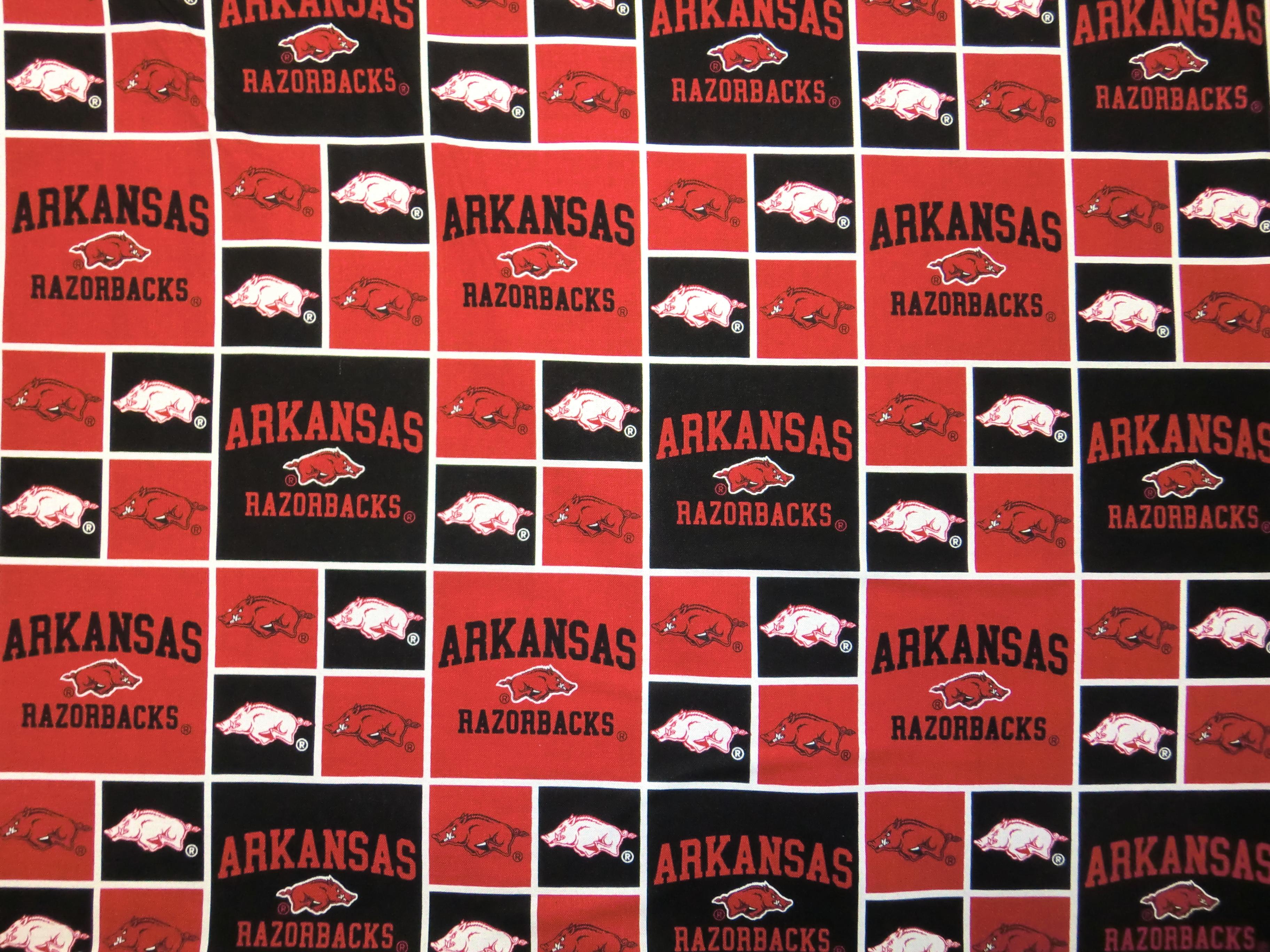 Free download Arkansas Razorbacks Peel and Stick Wallpaper Border ...