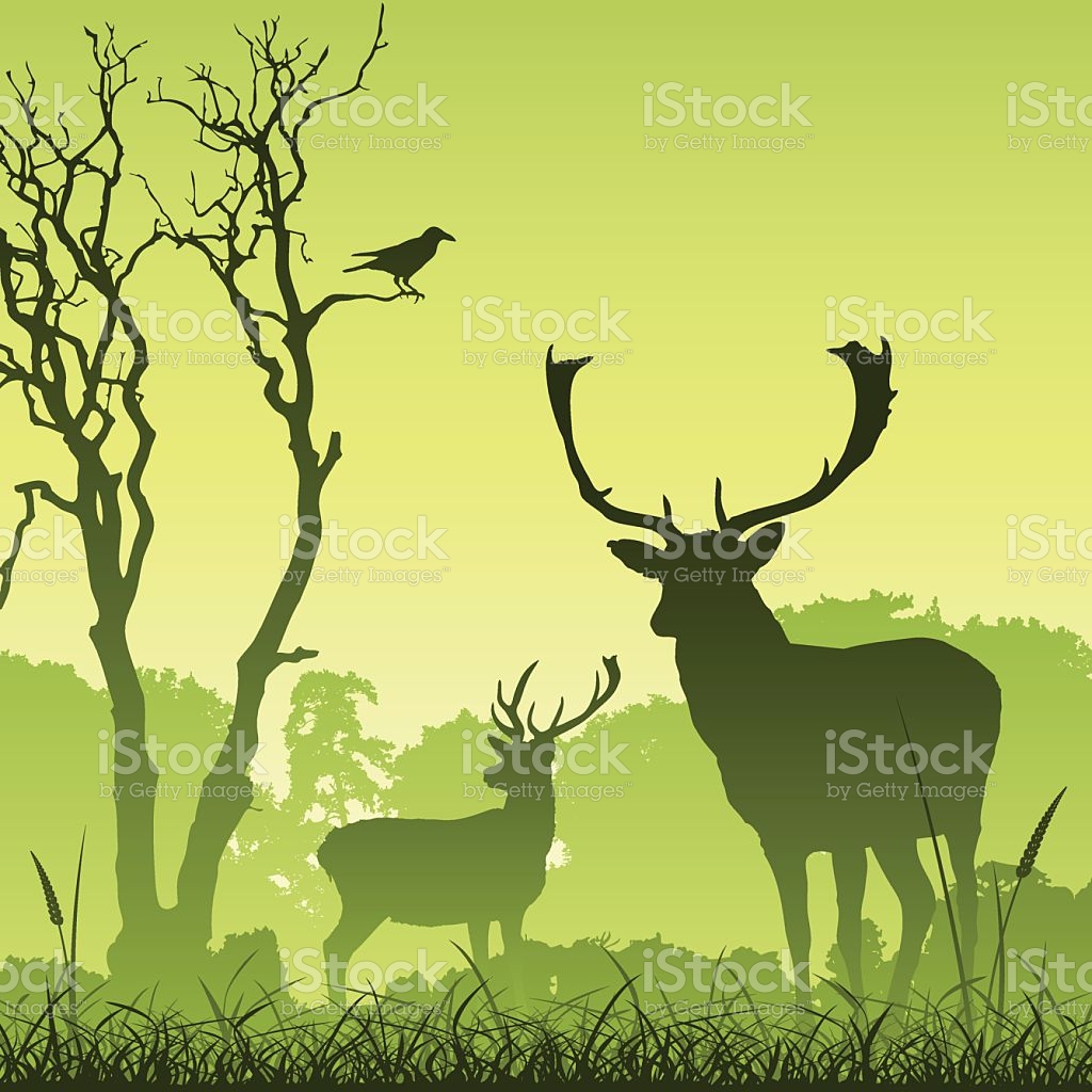 Free download Wire Stag HD Wallpaper Background Image 1920x1080 ...