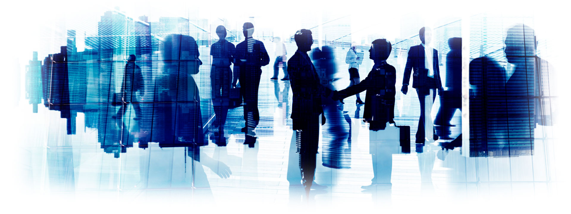 🔥 Free Download Investor Relations Novolex by @sbruce | WallpaperSafari